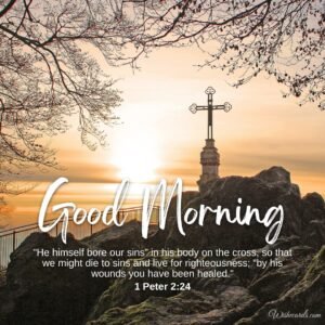 70+ Good Morning Blessings & Images: A Christian Reflection - Good ...
