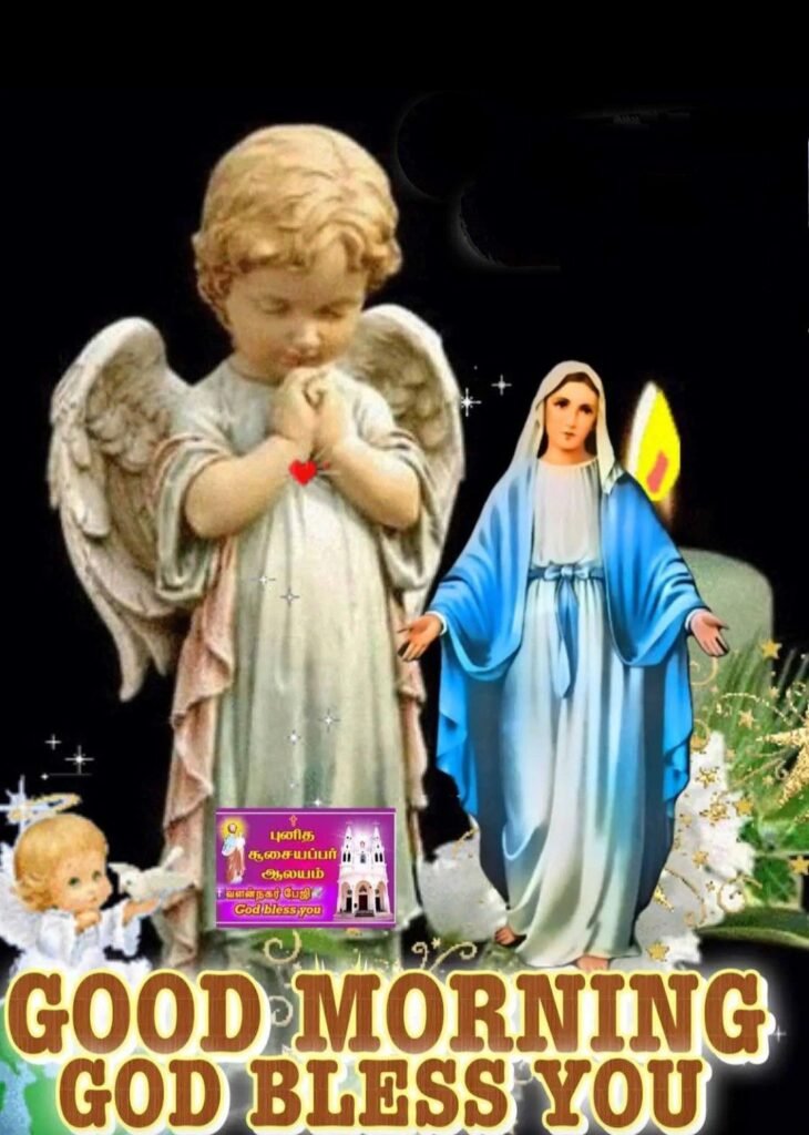90+ Good Morning Light, Mother Mary's Delight Images & Wishes - Good ...